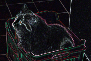 Free Tutorials, Software and Apps - FIVEKO