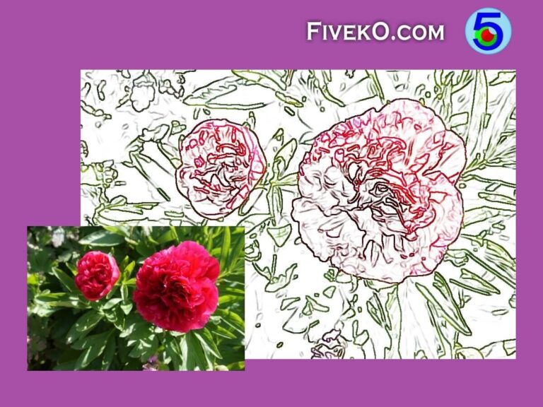 Engraved photo effect | Online Tool - FIVEKO