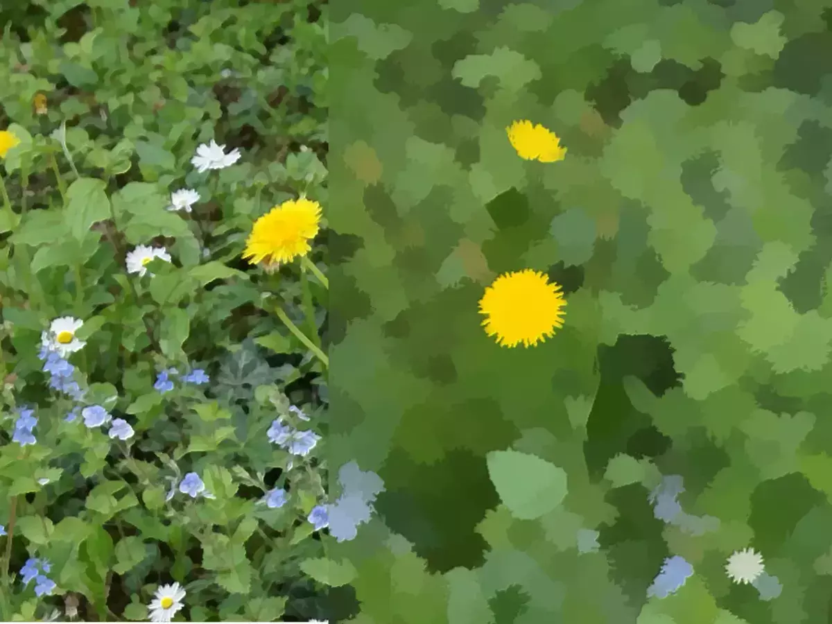 Symmetric Nearest Neighbor App | Online Tool - FIVEKO